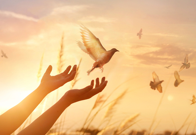 Woman freeing bird at sunset – Eileen O'Hare | Spiritual Healer & Teacher